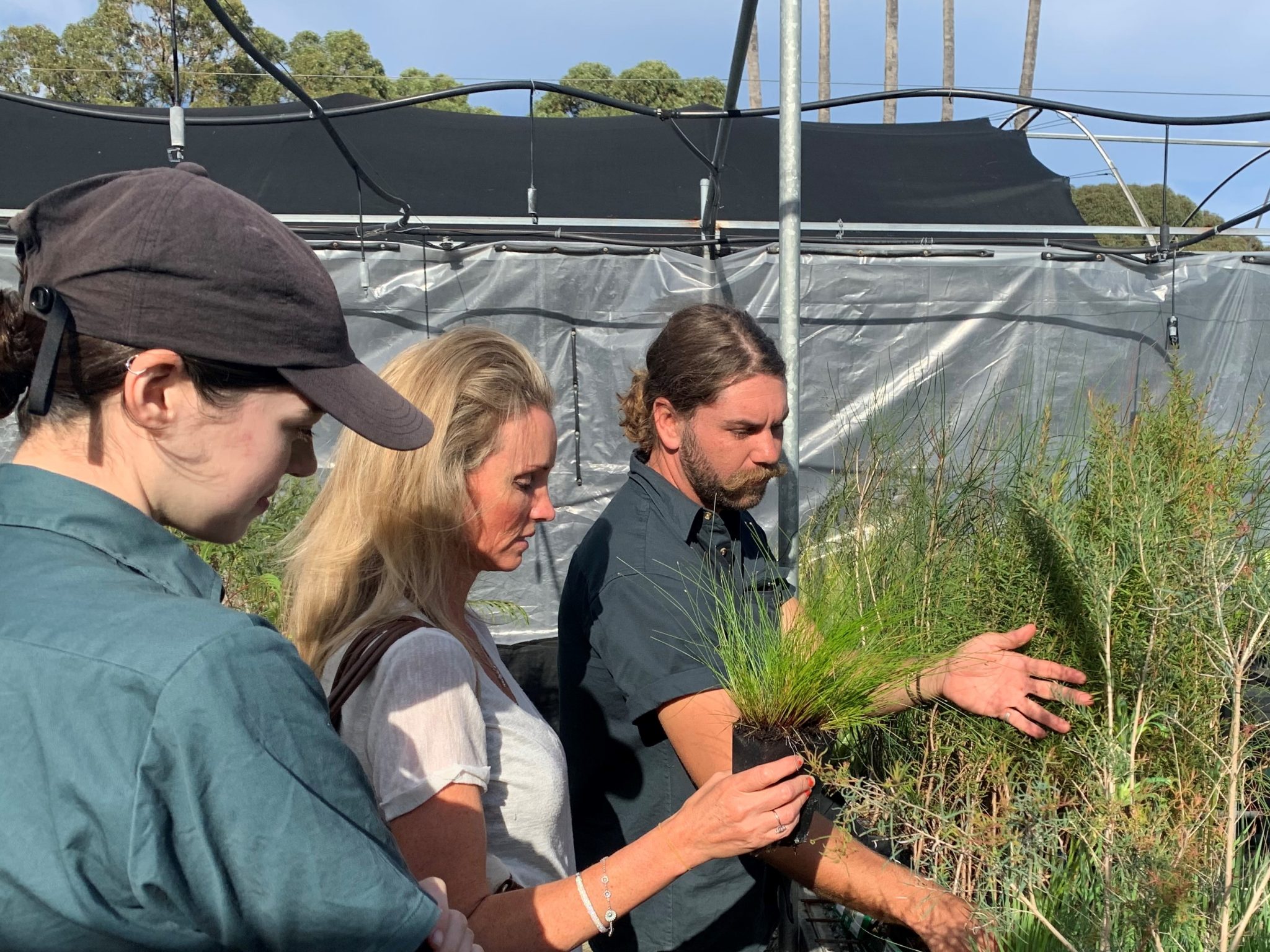 What We Do - Apace WA