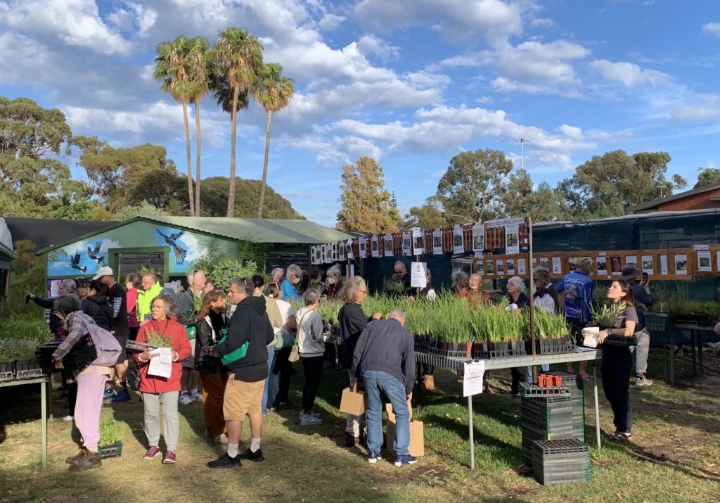 Plant Subsidy Scheme - Apace WA